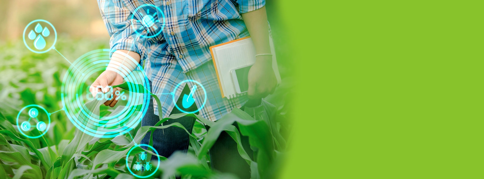 Agrosolutions For Life – Somos una empresa 100% mexicana de ...